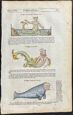 Lot 80252 - Pare, pub. 1664 - Mermaid or Mermen, Man-faced Seal ...