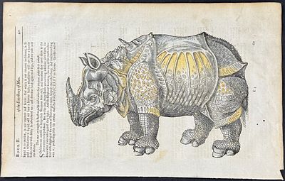Lot 80254 - Pare, pub. 1664 - Rhinoceros after Albrecht Durer ...