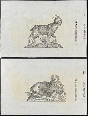 Lot 80918 - Aldrovandi - 3 Pages of Animal Monstrosities with Human ...