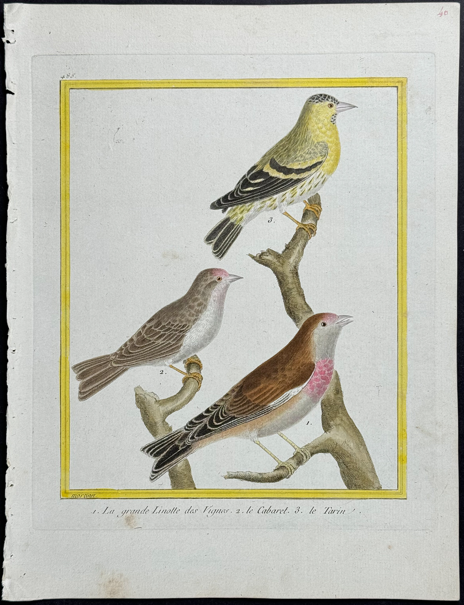 Lot 90143 - Martinet & Buffon -7 Bird Engravings | Trillium Rare Prints