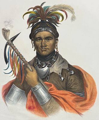 Lot 90465 - McKenney & Hall, Folio - Ki-On-Twog-Ky or Corn Plant, A ...