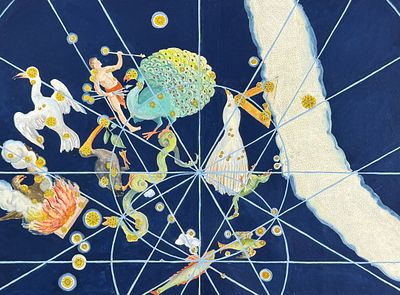 Lot 453 - Bayer - Constellation: Apis Indica; Hydra; Pavo; Indus; Grus ...