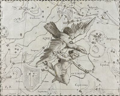 Lot 454 - Hevelius - Constellation Chart: Aquila, Antinous | Trillium ...