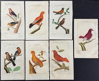 Lot 1100 - Buffon - 7 Bird Engravings | Trillium Rare Prints