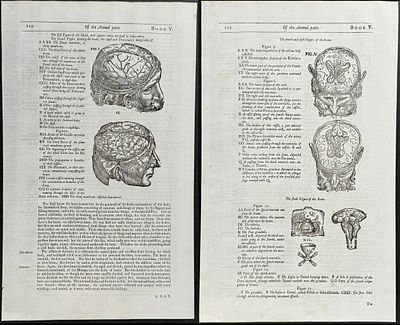 Lot 1804 - Pare, pub. 1664 - 3 Pages with Brain Anatomy | Trillium Rare ...