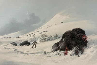 Lot 4068 - Catlin, Folio - Dying Buffalo Bull, In Snow Drift | Trillium ...