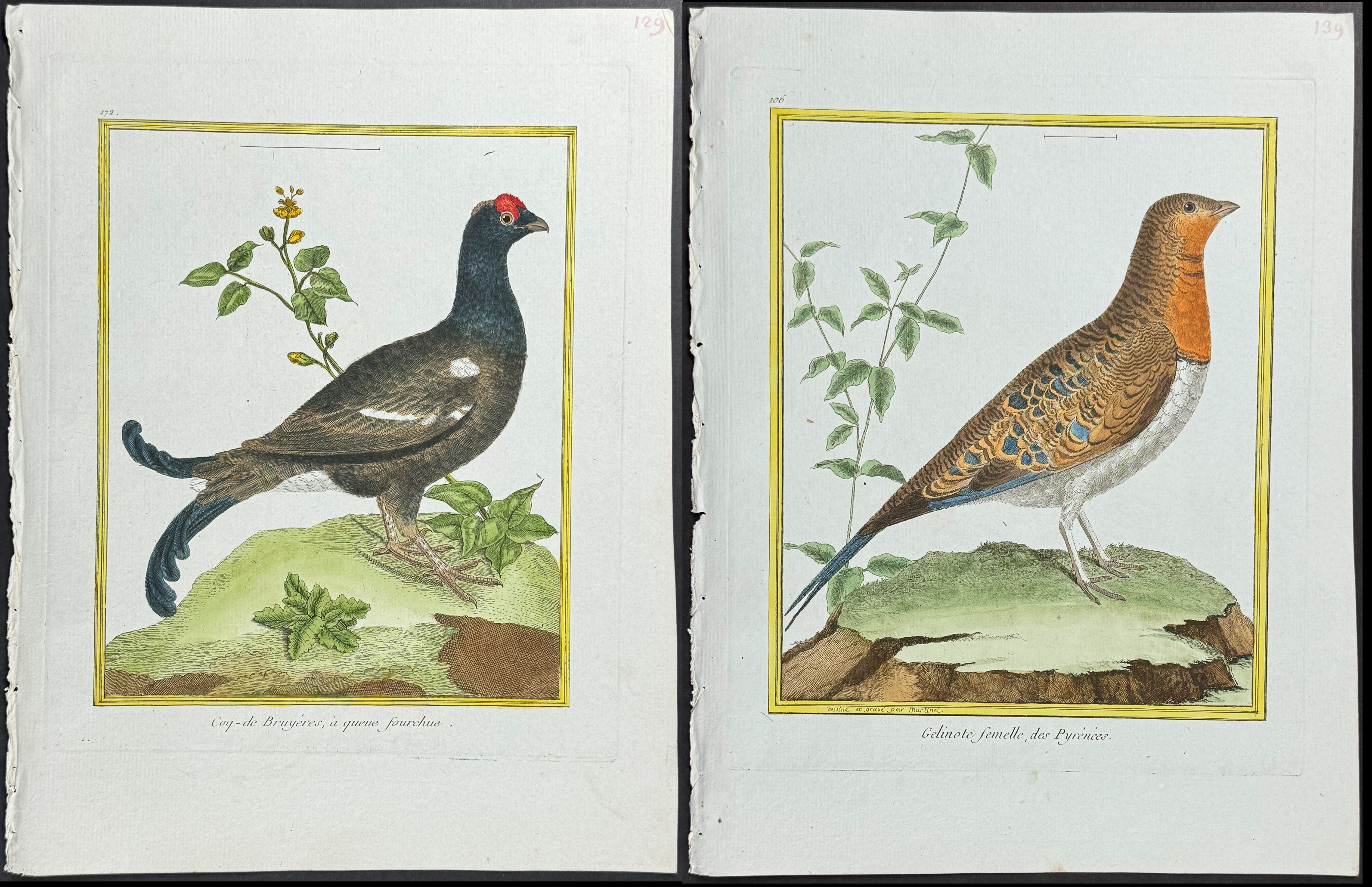 Lot 4136 - Martinet & Buffon - 6 Bird Engravings (Grouse, Partridge ...
