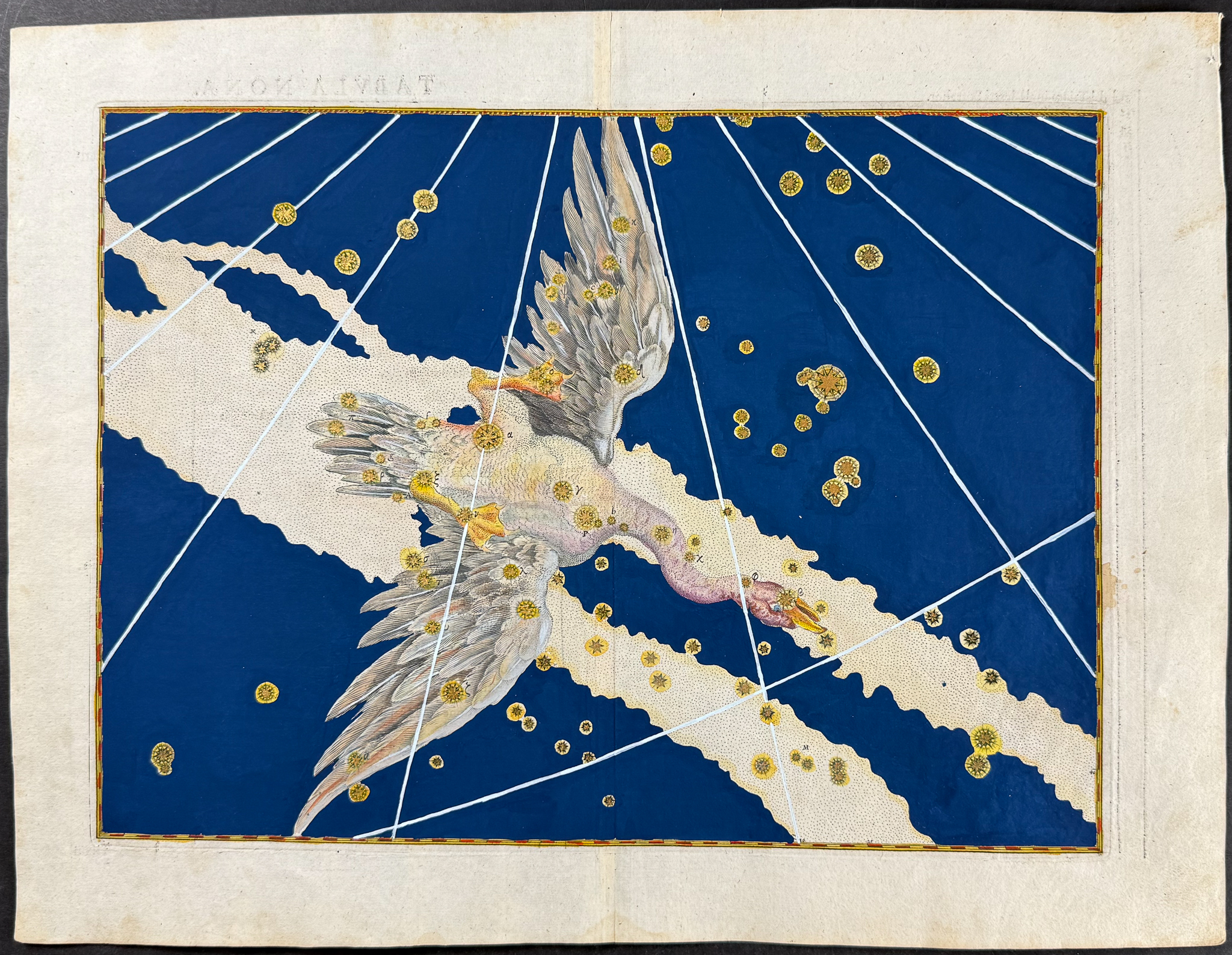 Lot 5228 - Bayer - Constellation Chart: Cygnus (Goose) | Trillium Rare ...