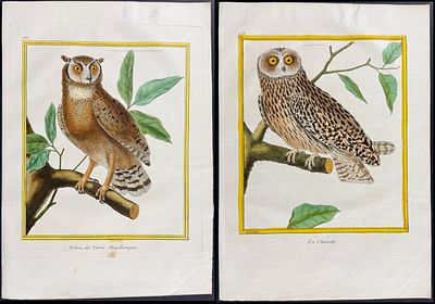 Lot 5503 - Martinet & Buffon - 4 Owl Engravings | Trillium Rare Prints