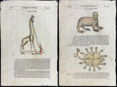 Lot 6007 - Pare, pub. 1664 - 3 Engravings of Giraffe & Animal ...