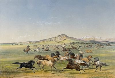 Lot 6671 - Catlin, Folio, On Card - Wild Horses, At Play | Trillium ...