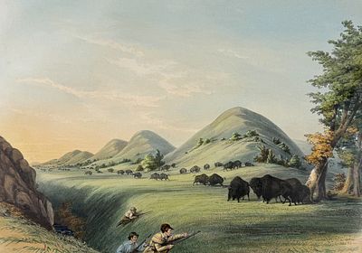 Lot 6863 - Catlin, Folio - Buffalo Hunt, Appraching in a Ravine ...