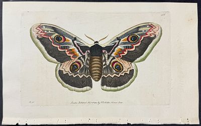 Lot 7705 - Shaw & Nodder - Great Peacock Moth. 456 | Trillium Rare Prints
