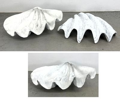 Lot 315 - 3pc Large Faux Giant Clam Shells. Fiberglass Shell forms with ...